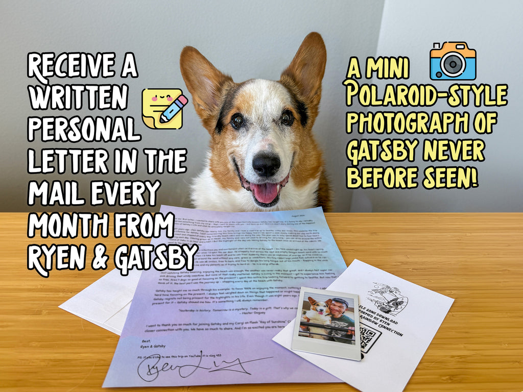 Ryen & Gatsby's Corgi On Fleek "Ray of Sunshine" Club