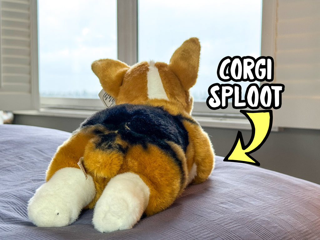 Special Splooting Gatsby Corgi Plush – Corgi On Fleek