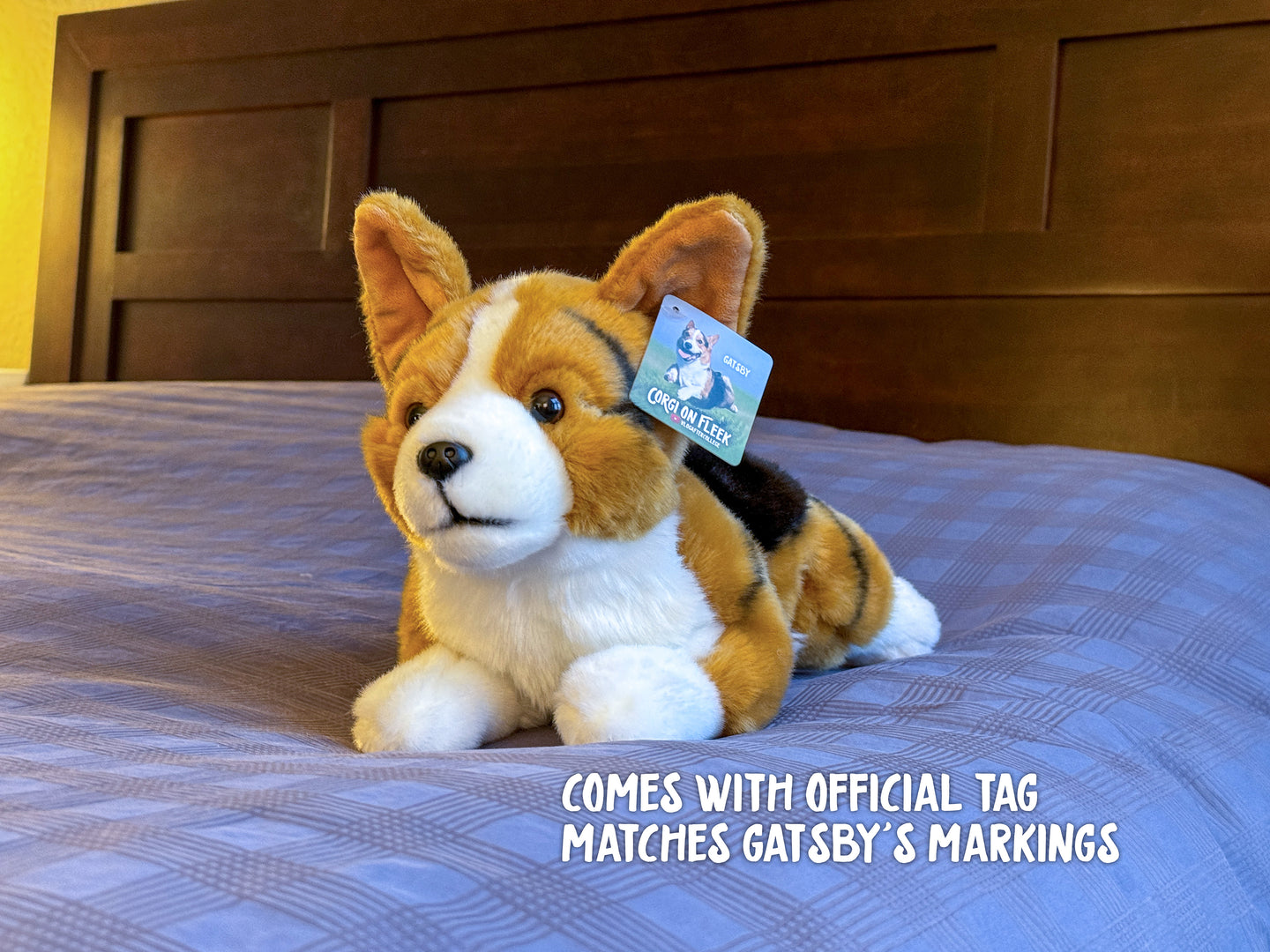 Fuzzy Corgi - Mini Cotton Tote Bag – Corgi On Fleek