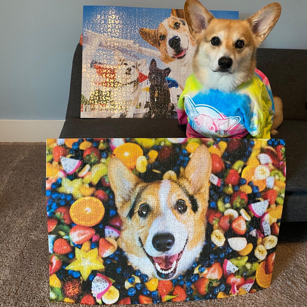 Surfing Corgi Liquid Paperweight – Corgi On Fleek