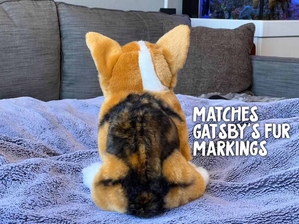 Official Gatsby Corgi Plush – Corgi On Fleek