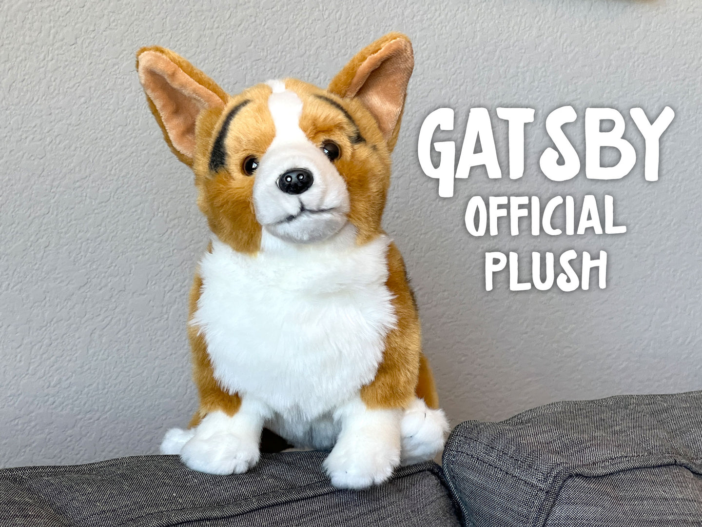 Ryen & Gatsby's Corgi On Fleek "Ray of Sunshine" Club
